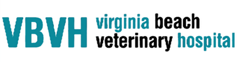Vet In Virginia Beach | Virginia Beach Veterinary Hospital